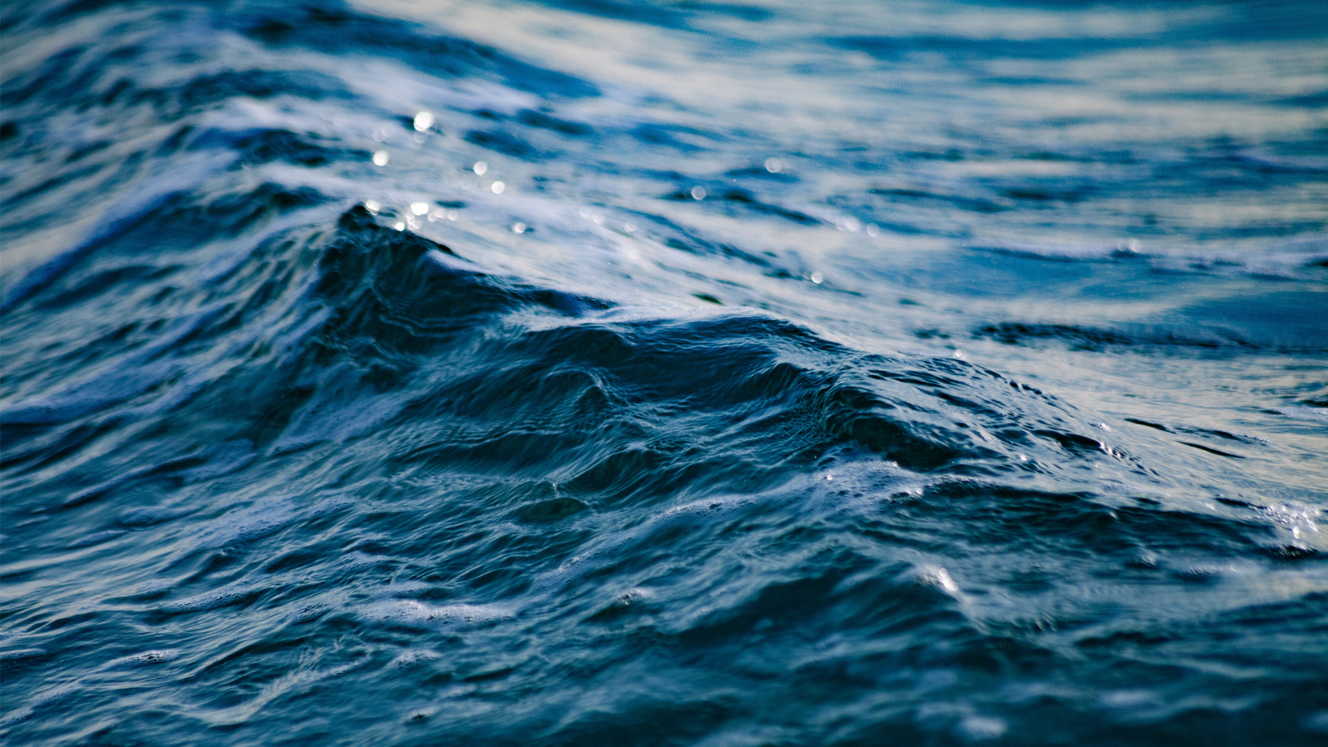 Kertalahjoitus Itämeren suojeluun – Auta ehkäisemään rehevöitymistä ja ...