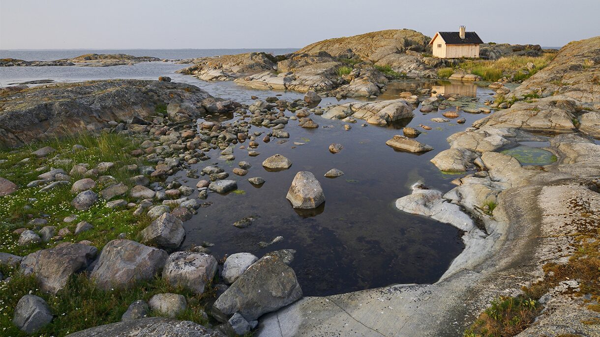 Maps, Books and Art - John Nurminen Foundation